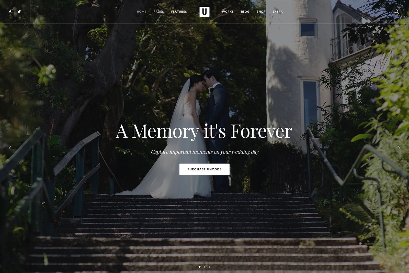 Classic Photographer - ImpaxRX